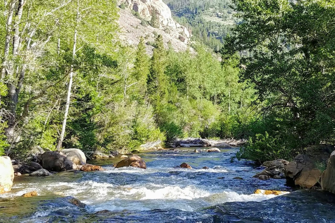 SUP | Fort Collins Adventure Rental